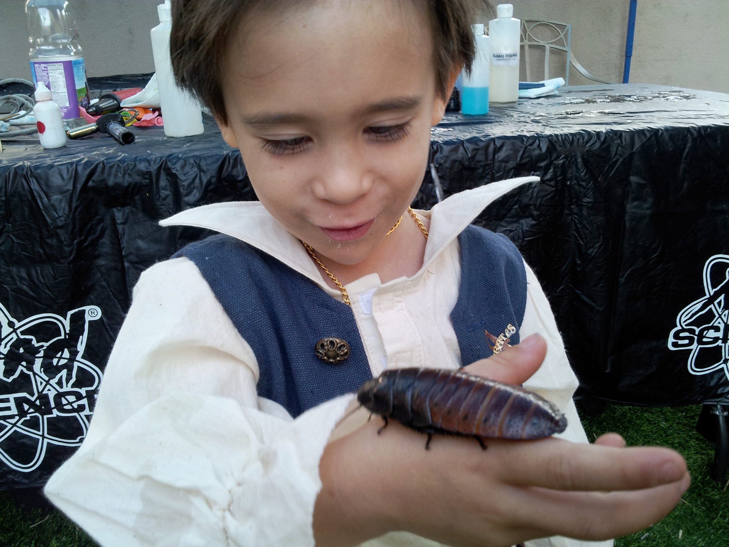 Eight Frightening Tips For Creating A Spooktacular Halloween - Looney ...